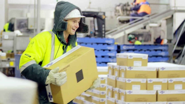 How To Maximise Productivity In A Cold Storage Warehouse